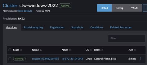 Rke2 Custom Cluster Gets To An Active State With Only `etcd` And `controlplane` Nodes