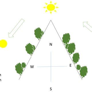 Effect Of Slope Aspect On Steep Slope And Gentle Slope Download Scientific Diagram