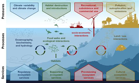 Ecopath With Ecosim