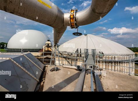 Biogas Plant Gas Storage With Dome Fermenter Tanks For The Fermentation Process Use Of Solid
