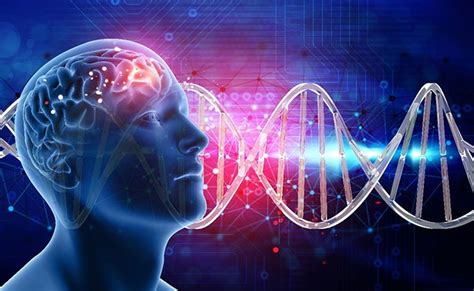 Ngs Genetic Testing In Texas Medex Laboratories