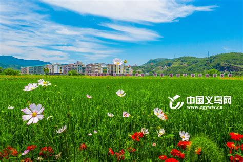 交成绩！2021年义乌佛堂高标准农田建设项目通过验收 义乌农田 义乌新闻