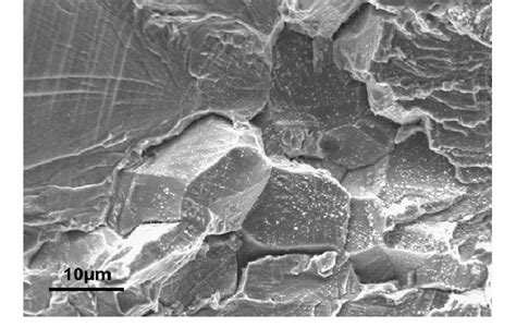 Fracture Surface Of Specimen Previously Cold Worked By Shot Peening And Download Scientific