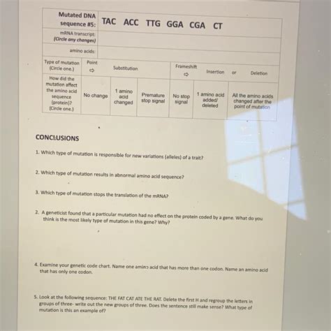 Solved Shape Media Directions Transcribe And Translate The