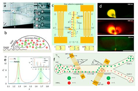 Acoustic Microfluidic Separation Techniques And Bioapplications A