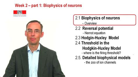 Cns21 Biophysics Of Neurons Youtube