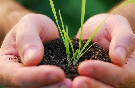 Страхования в Україні запрацює під озимі урожаю 2022 року Agroone