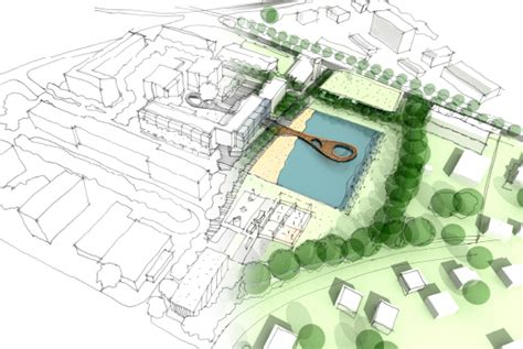 Tree Survey Services Arbor Tree Specialists