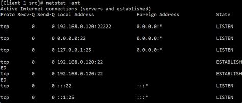 It Security Tcp 공격 Syn Flooding