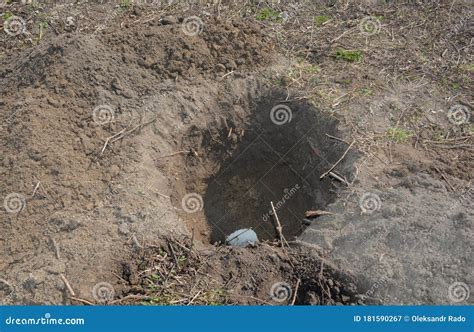 Tree Fertilization Adding Chemical Mineral Fertilizers Of Nitrogen Phosphorus And Potassium