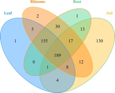 Niche Differentiation In The Rhizosphere And Endosphere Fungal Microbiome Of Wild Paris