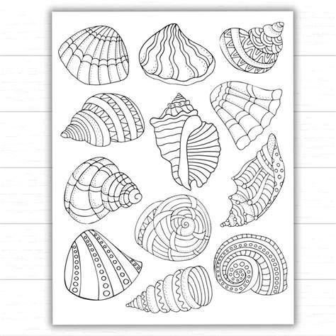 Printable Seashell Coloring Page Beach Coloring Sheet Shell Crafts