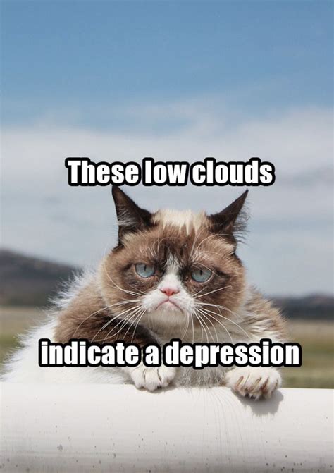 Pin By Debbie Butler On Grumpy Cat Diy Dollhouse Grumpy Cat Doll House