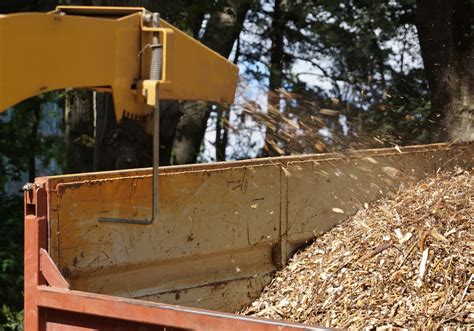 Tree Chipping Machine Services Find Out More