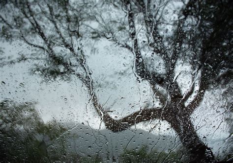Se Aproxima Frente Frío Número 15 Al Norte De México