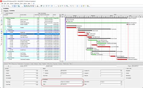 Identifying The Longest Path In Primavera P6