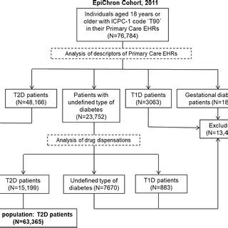 Flow Chart Of The Study Population ICPC 1 International Download Scientific Diagram