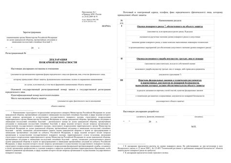 Декларация мчс