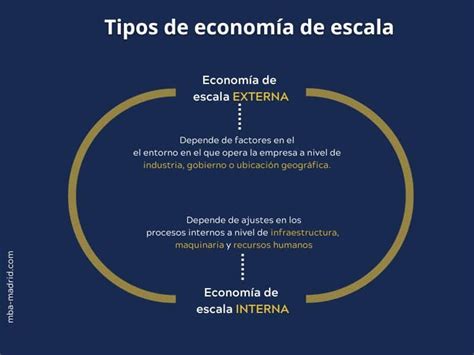 Economía De Escala Qué Es Y Cómo Afecta A La Empresa