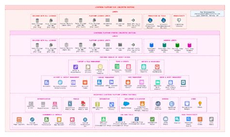 Salesforce Licenses Infographic 1713906064 Pdf