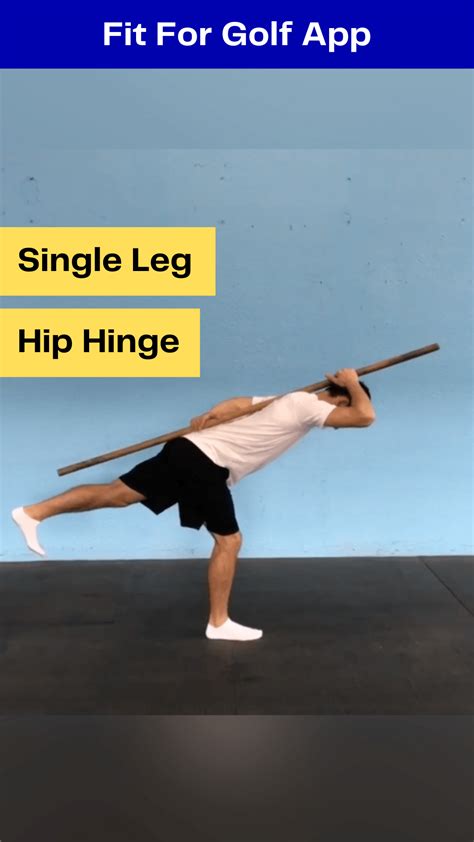 Free Exercise Library