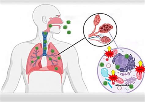 تشخیص زودهنگام کرونا با دستگاه اندازه گیری اکسیژن در خلط همشهری آنلاین