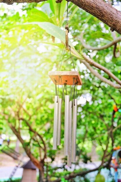 98 000 Hanging Lanterns Garden Pictures