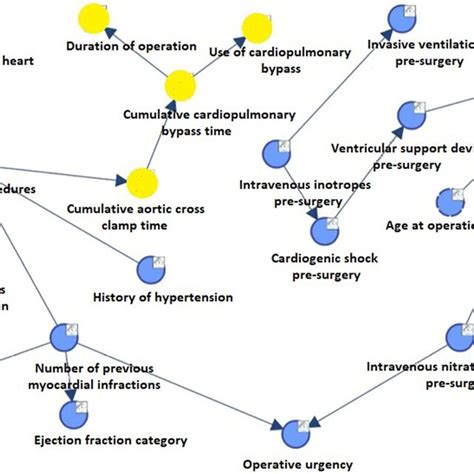 Bayesian Network Graph With Mb For Survival ‘status At Discharge Download Scientific Diagram