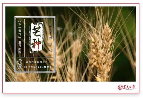 轉發農業農村部部署三夏機械化生產和農機安全生產工作 每日頭條