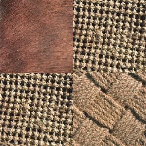 figure 1 from multispectral image segmentation using gabor filtering and local homogeneity