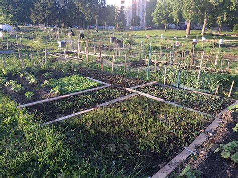 非常漂亮的社区花园，任何人都可以进入