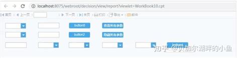 商业报表工具 finereport js 实现动态隐藏参数以及控制参数面板高度 知乎