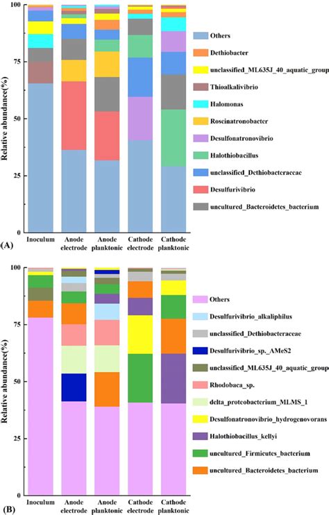 16s Rrna Gene Amplicon Sequencing Based Development Of The Relative Download Scientific Diagram