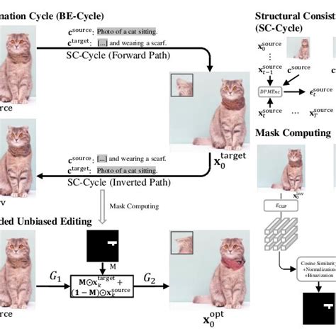 The Overview Of The Proposed Dual Cycle Diffusion Framework For The