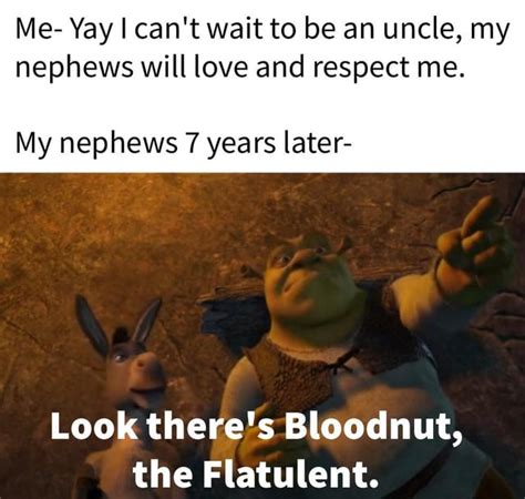 Making A Meme From Every Line In Shrek 2001 Day 427 Rshrek