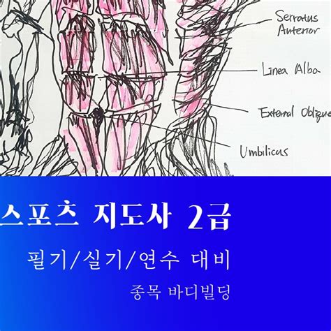 성스러운 드디어 운동 지도자 양성과정을 개설했습니다 0 근육운동 지도자 양성 과정 개설 움직임 전문가 양성 과정을 이수하여 누구나 타인에게 근육 강화 운동법을