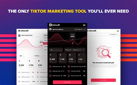 TOKaudit TikTok Sorting Analytics Toolkit Интернет магазин Chrome