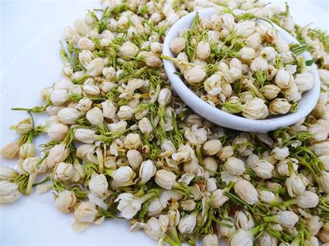 Jasmine Flower Bud Tea Tea Life Organic Loose Leaf Tea