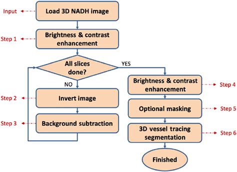 Algorithm Flowchart For Background Vasculature Segmentation From Download Scientific Diagram