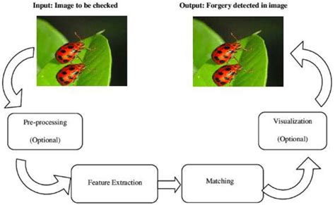 Figure 2 From An Overview Of Copy Move Forgery Detection Approaches
