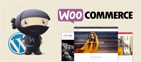 Best WooCommerce WordPress Themes InkThemes