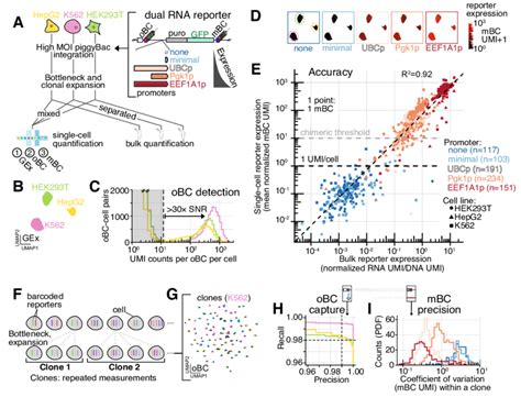 Benchmarking Scqers For Accuracy Precision And Capture In Human Cell