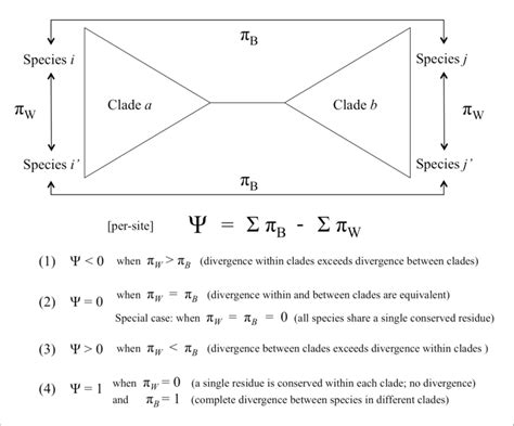 3 Diagram And Statistical Properties Of The Ψ Statistic The Range Of Download Scientific