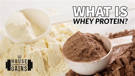 Unveiling The Power Of Whey Protein Your Comprehensive Guide House