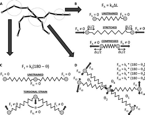 A A Simplified Representation Of The Fibrous Ecm That Allows For Download Scientific Diagram