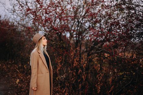 전 세계 그녀의 휴가 넥타이에 여행 하는 동안 자연을 감상 긴 머리를 가진 사랑 스러운 우아한 금발 여자의 측면 보기 초상화 가을에 대한 스톡 사진 및 기타 이미지 Istock