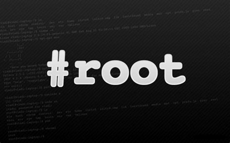 Root Access Hacker Web Security