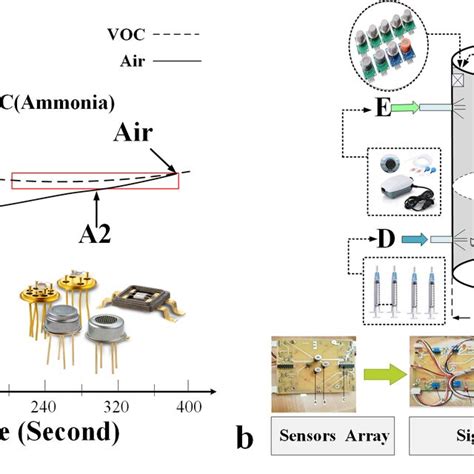 Pdf Enose Performance In Transient Time And Steady State Area Of Gas Sensor Response For