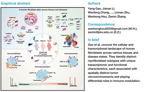 Cancer Cell 北大张泽民院士团队佳作：跨组织单细胞图谱揭示成纤维细胞亚型的免疫调节特征 学习 大拇指 2048 Ai社区