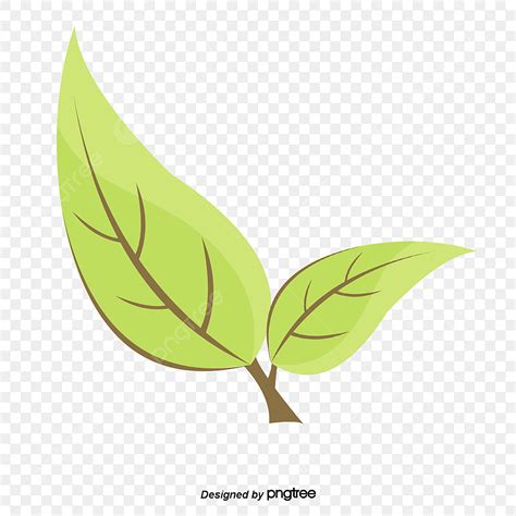 Psd Png
